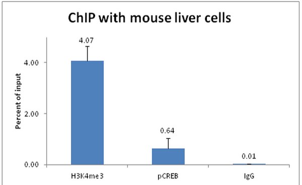 Magna ChIP™ HiSens Chromatin Immunoprecipitation Kit | 17-10460